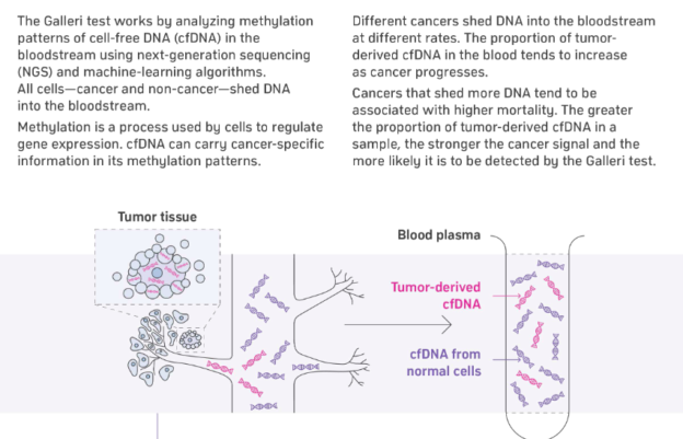 Cancer Screening - Idaho Naturopathic Medicine / Sara Rodgers NMD/ND, C.Ac